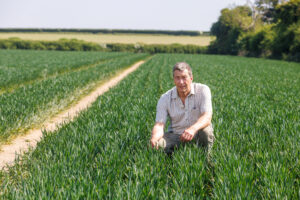 Premier Foods logo - Premier Foods