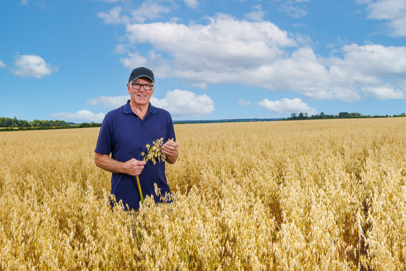 Wholegrain oats used in our delicious Ambrosia ready-to-eat porridge ...